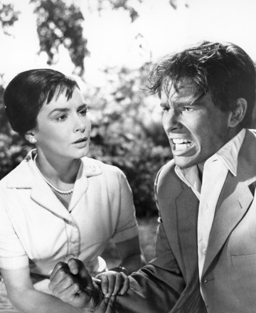250 1963 movies Stock Pictures, Editorial Images and Stock Photos ...