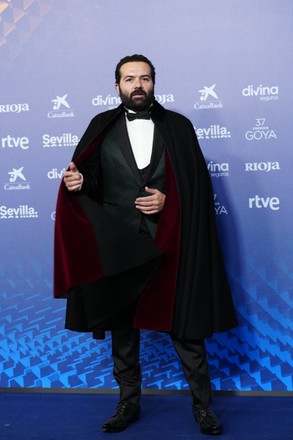 Alfonso Sanchez Fernandez Attending 37th Goya Editorial Stock Photo ...