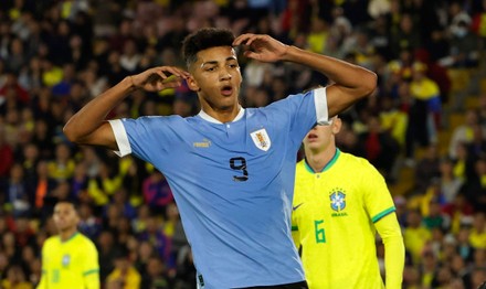 Robert Renan Brazil Reacts During South Editorial Stock Photo - Stock ...