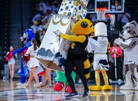 Georgia Techs Iconic Mascot Buzz Before Editorial Stock Photo - Stock ...