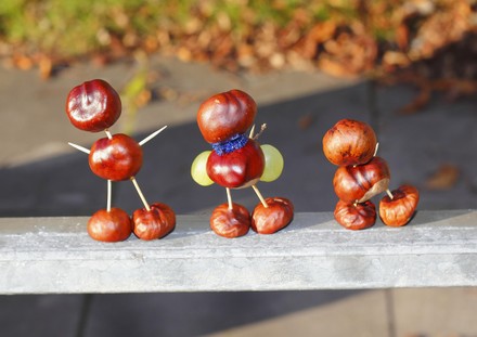 73 Chestnut figure Stock Pictures, Editorial Images and Stock Photos ...