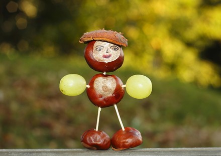 73 Chestnut figure Stock Pictures, Editorial Images and Stock Photos ...