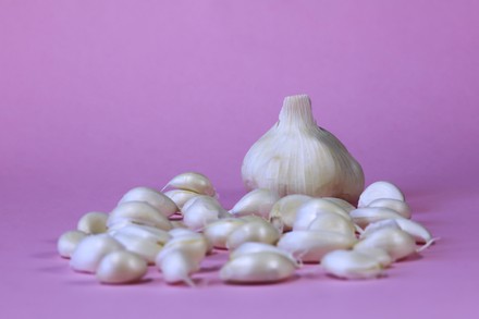 Still Life Garlic Germany Editorial Stock Photo - Stock Image ...