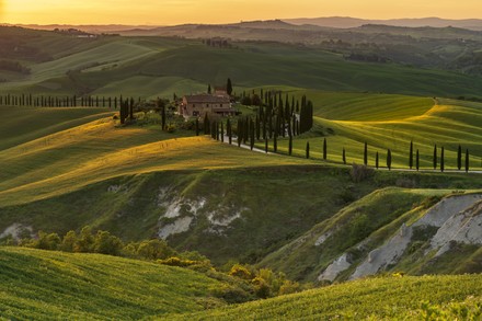 Country Estate Agriturismo Baccoleno Cypress Cupressus Editorial Stock ...