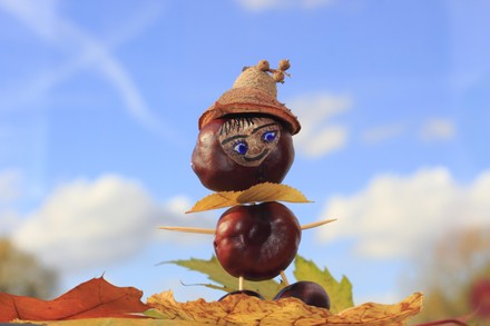 73 Chestnut figure Stock Pictures, Editorial Images and Stock Photos ...