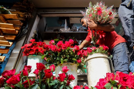 Vendor Displays Roses Sale On Valentines Editorial Stock Photo - Stock ...