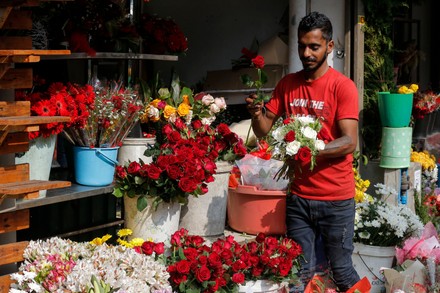Vendor Displays Roses Sale On Valentines Editorial Stock Photo - Stock ...