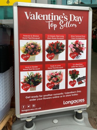 Longacres Garden Centre Bagshot Surrey Had Editorial Stock Photo ...