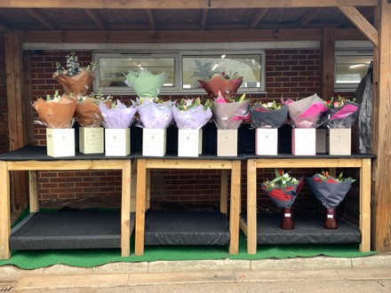 Longacres Garden Centre Bagshot Surrey Had Editorial Stock Photo ...