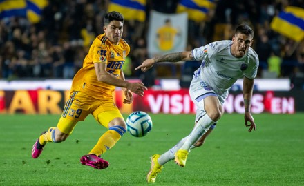 Tigres Uanl Player Nicolas Ibanez L Editorial Stock Photo - Stock Image ...