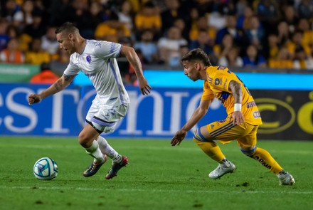 Tigres Uanl Player Nicolas Ibanez Action Editorial Stock Photo - Stock ...