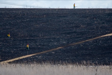 Forestry Workers Can Be Seen Performing Editorial Stock Photo - Stock ...
