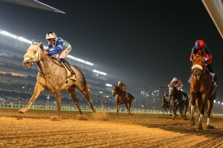 horse racing meydan Stock Photos (Exclusive) | Shutterstock