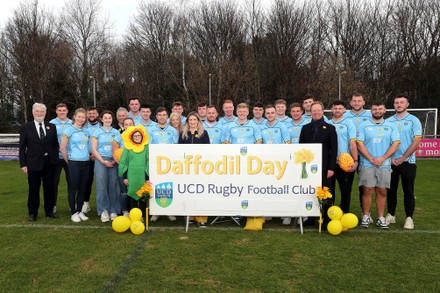 Ucd Rugby Sponsored By Ey Ireland Editorial Stock Photo - Stock Image ...