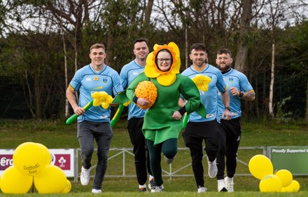 Ucd Rugby Sponsored By Ey Ireland Editorial Stock Photo - Stock Image ...