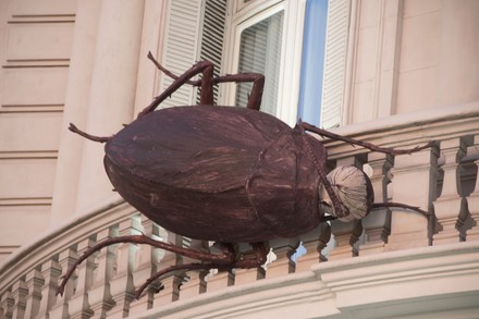 Six Giant Cockroaches Heads Human Beings Editorial Stock Photo - Stock ...