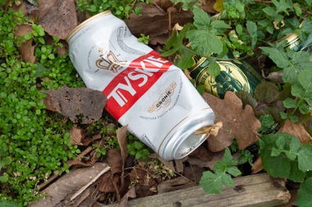 Familiar Sight Discarded Tyskie Beer Cans Editorial Stock Photo - Stock ...