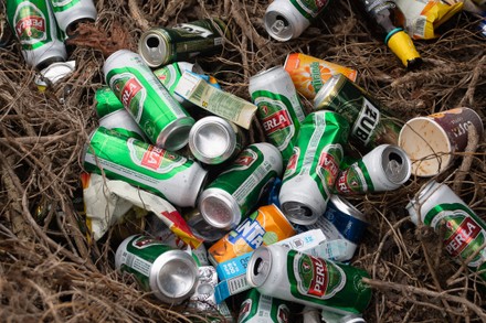 51 Discarded beer cans Stock Pictures, Editorial Images and Stock ...