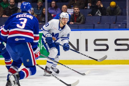 Toronto Marlies Defenseman Noel Hoefenmayer 2 Editorial Stock Photo ...