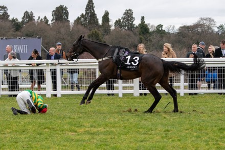 Jockey Aidan Coleman Unseated By Horse Editorial Stock Photo - Stock ...