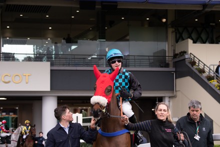 Jockey Stan Sheppard On Horse Nocte Editorial Stock Photo - Stock Image ...