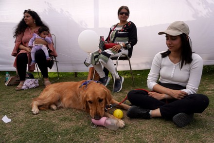 15 Pet gathering events Stock Pictures, Editorial Images and Stock ...