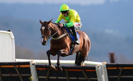 Trainer Alexandra Dunn Race 1 200 Editorial Stock Photo - Stock Image ...