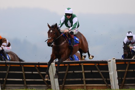 Jockey Elizabeth Gale Race 1 200 Editorial Stock Photo - Stock Image ...