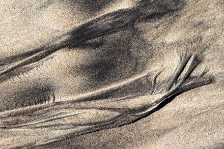 Details On Beach Sand Tracks Portugal Editorial Stock Photo - Stock ...