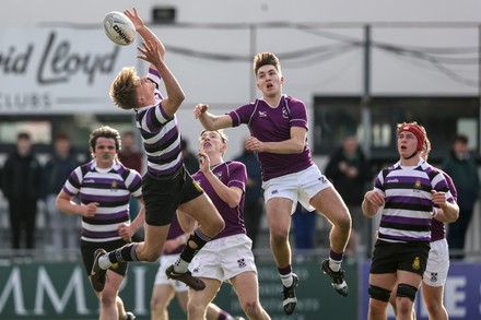 Terenure College Vs Clongowes Wood College Editorial Stock Photo ...