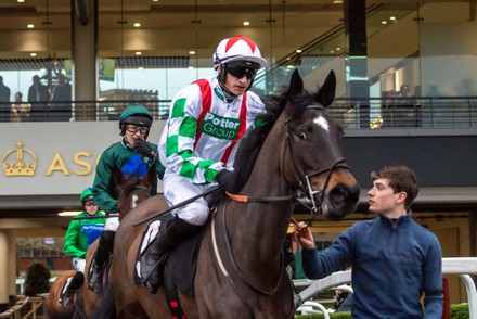 Horse Spring Gale Ridden By Jockey Editorial Stock Photo - Stock Image ...