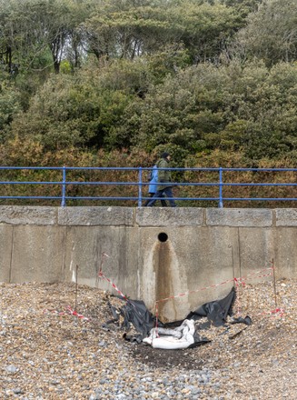 Failed Measures Stop Sewage Overflowing Into Editorial Stock Photo ...