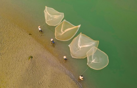 Fishermen Seen Lining Throwing Their Nets Editorial Stock Photo - Stock ...