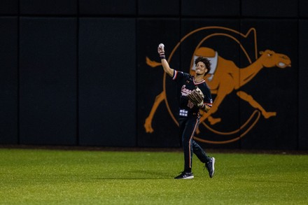 Campbell Fighting Camels Outfielder Payton Howard Editorial Stock Photo ...