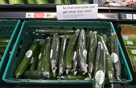 Cucumbers Fresh Produce Aisle Tesco Supermarket Editorial Stock Photo ...
