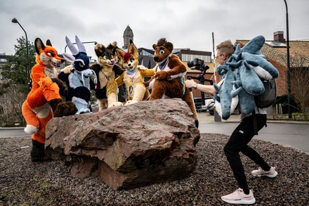 Thousands Furry Creature Have Invaded Southern Editorial Stock Photo ...