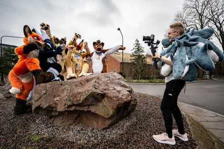Thousands Furry Creature Have Invaded Southern Editorial Stock Photo ...