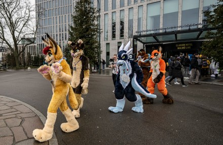 Thousands Furry Creature Have Invaded Southern Editorial Stock Photo ...