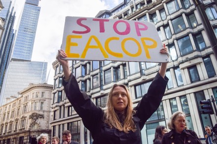 Protester Holds Stop Eacop Placard During Editorial Stock Photo - Stock ...