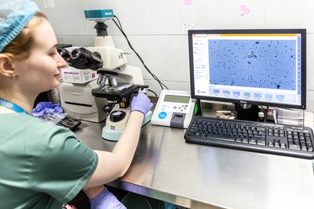 34 Reproductive cells Stock Pictures, Editorial Images and Stock Photos ...