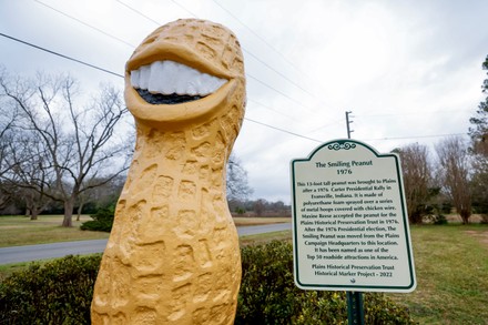 Smiling Peanut Former Us President Jimmy Editorial Stock Photo - Stock ...