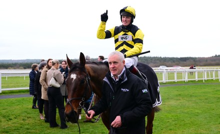 exeter races Stock Photos (Exclusive) | Shutterstock