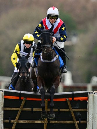exeter races Stock Photos (Exclusive) | Shutterstock