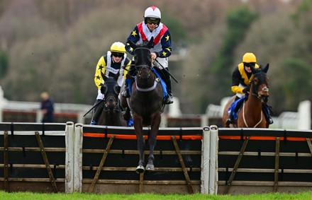 exeter races Stock Photos (Exclusive) | Shutterstock
