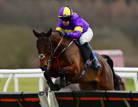 exeter races Stock Photos (Exclusive) | Shutterstock