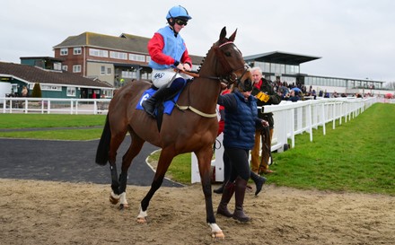 exeter races Stock Photos (Exclusive) | Shutterstock