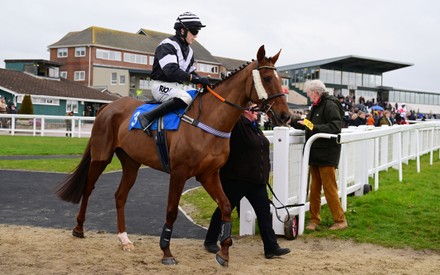 exeter races Stock Photos (Exclusive) | Shutterstock