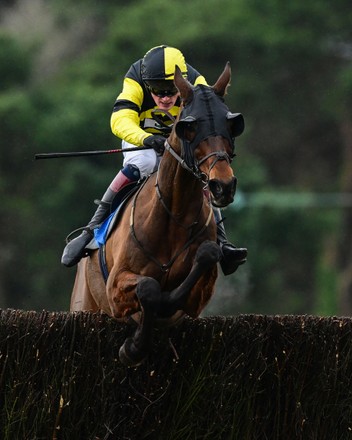 exeter races Stock Photos (Exclusive) | Shutterstock