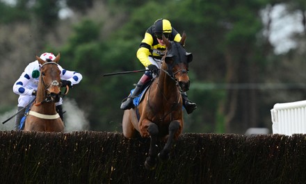 exeter races Stock Photos (Exclusive) | Shutterstock