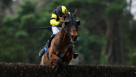 exeter races Stock Photos (Exclusive) | Shutterstock